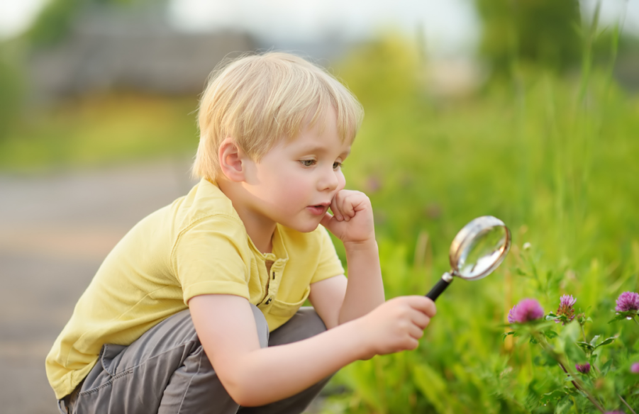 How to use a magnifying glass | Gulo in Nature