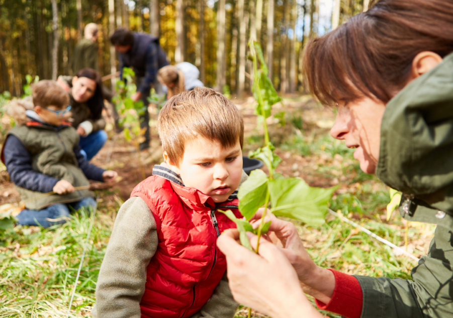 8 tips for connecting kids with nature | Gulo in Nature